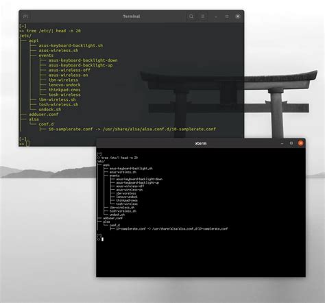 it s crazy that people still use xterm in 2024 scrolller