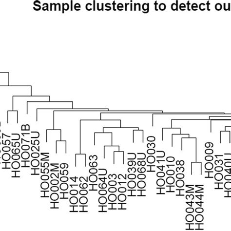 Sample Clustering For Detecting Outliers Download Scientific Diagram