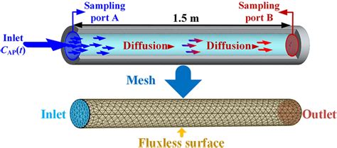 structure and mesh of simulation model download scientific diagram