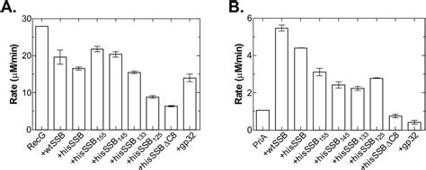 Ssb Linker Mutants Affect Recg And Pria Differently Atpase Assays Were