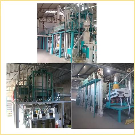 Supply Soybean Green Bean Cocoa Bean Processing Machine Wholesale Factory Henan Institute Of