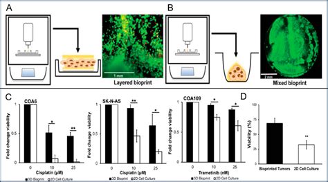 Applications Of 3d Bioprinting Technology To Brain Cells And Brain