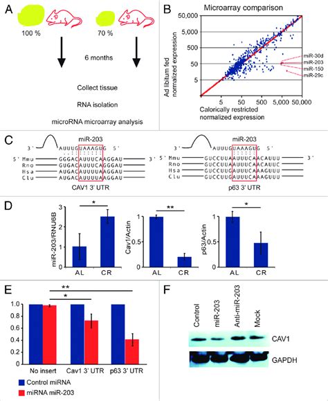 a experimental design of microarray experiments mice were fed ad