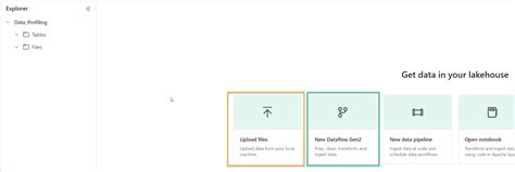 using microsoft fabric for in depth data profiling the meloro fabric blog