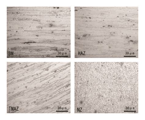 Optical Micrographs Of Showing The Microstructure Along The Cross