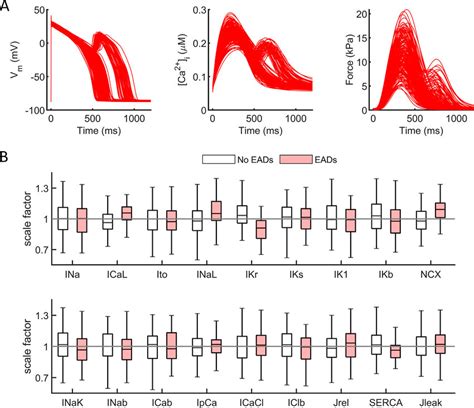 Effect of 0 01 μM dofetilide on cellular electro mechanics of the Download Scientific Diagram