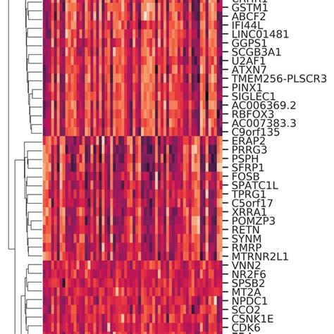 Heatmap Showing The Top 10 Gene Features For Each Head Colored By