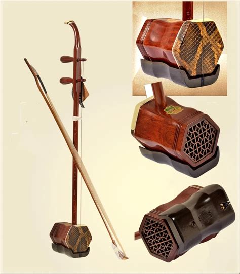 Erhu Instrument