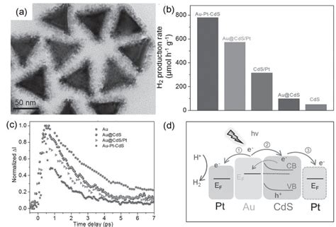 A Tem Image Of Au Pt Cds Hetero Nanostructures B Photocatalytic Download Scientific