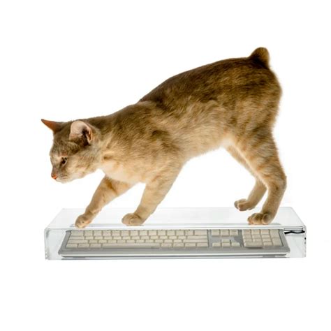 Capa E Protetor De Teclado Shopee Brasil