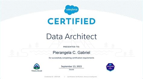 Pierangela Gabriel On Linkedin Salesforce Applicationarchitect Dataarchitect