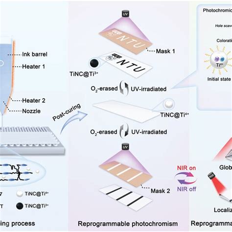 Schematic Representation Of 4d‐printed Reprogrammable Titanium‐based