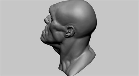 Creature Head H 3d Model Turbosquid 1937939