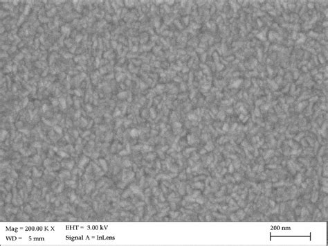 Sem Image Of The Surface Topography For Sample 250 Download Scientific Diagram