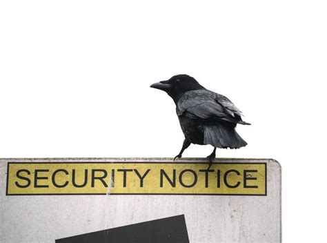 Learn Elixirdev On Linkedin Exploit Guard Open Source Runtime