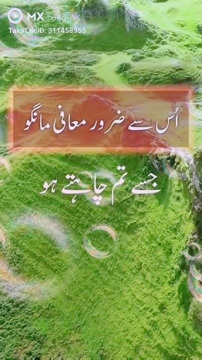 খুব সুন্দর একটা কথা Youtube