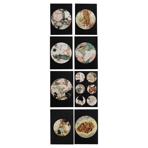 Set Of 8 Original Antique Prints Of Microscopic Rock Samples 1883 For