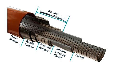 Lessons From The Sureflex Jip Latest Industry Data And Flexible Pipe Integrity Management