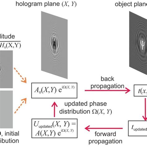 Iterative Reconstruction Scheme H 0 X Y Is The Normalized Hologram Download Scientific