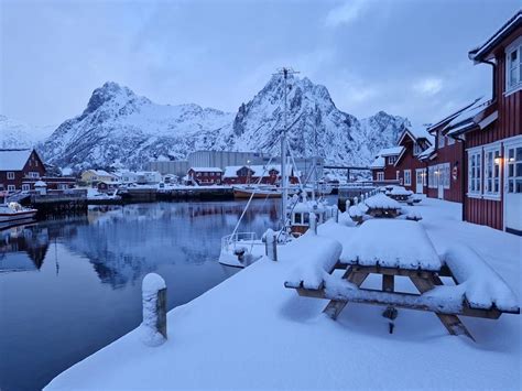 Lofoten Islands In Winter A Practical Guide For 2023