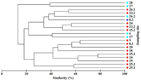 Group Averaging Cluster Analysis Based On Ground Beetles Transformed