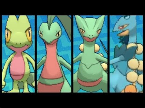 Treecko Evolution Chart