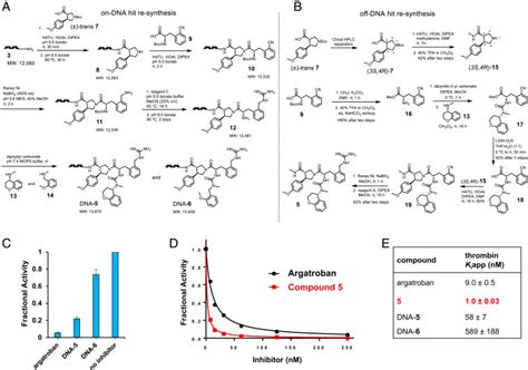 Discovery Of Potent Thrombin Inhibitors From A Protease Focused Dna