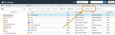 files in cpanel trash folders to be permanently deleted