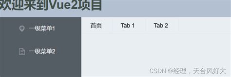 vue开发实例（十）tabs标签页打开、关闭与路由之间的关系 vue tabs标签页 csdn博客