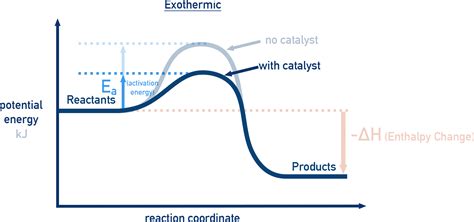 R225 Catalyst And Activation Energy Ib Chemistry