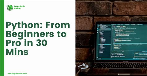 Python From Beginners To Pro In 30 Mins Part 1 By Scofield O