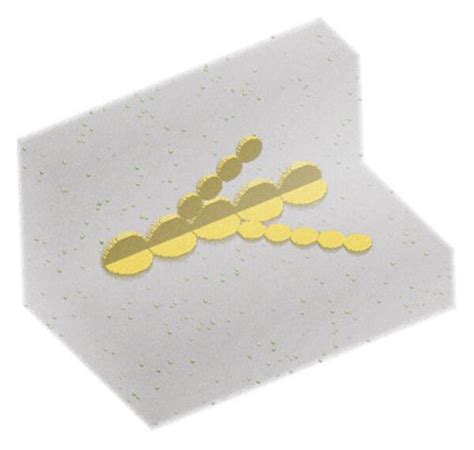 the initial state of computer simulations of a tissue construct made of