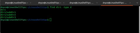 How To Copy Directory Structure Without Files In Linux