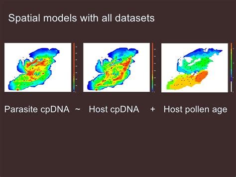 spatial models with all datasets