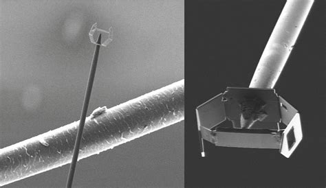 Microns And Nano DOr Contest Rewarding Innovation Micronora