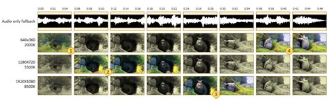 Live Streaming Without The Hard Work