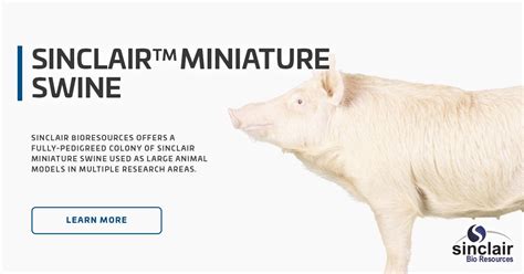 Sinclair Nanopig® ⋆ Sinclair Bio Resources
