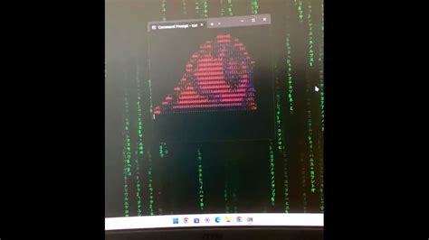 Dancing Parrot Using Cmd Windows 11 Youtube