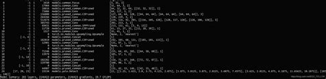 yolov5模型剪枝压缩 yolov5剪枝 csdn博客