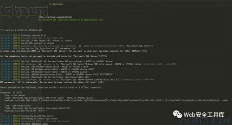 自动检测和利用sql注入工具 Cn Sec 中文网