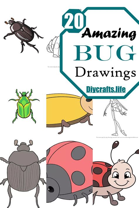 20 Amazing Bug Drawings With Step By Step Guide Diy Crafts