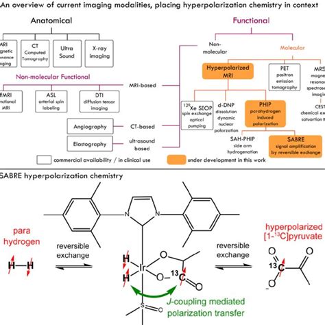 A Illustration Of The Medical Imaging Landscape Placing Hyperpolarized Download Scientific