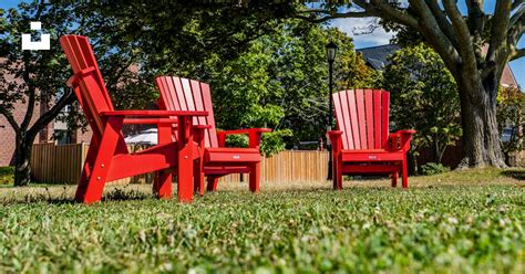 무성한 녹색 들판 위에 앉아있는 두 개의 빨간 의자 사진 Unsplash의 무료 화려한 이미지