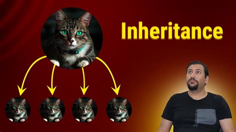 C Inheritance Explained With Core Entities Example Youtube