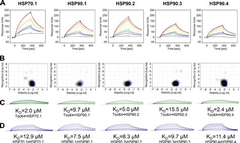 Chaperone Binding To Toc64 And Determination Of Binding Affinities Download Scientific Diagram