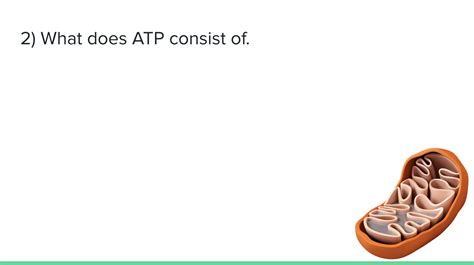 A Level PE Energy Systems Revision Cards Teaching Resources