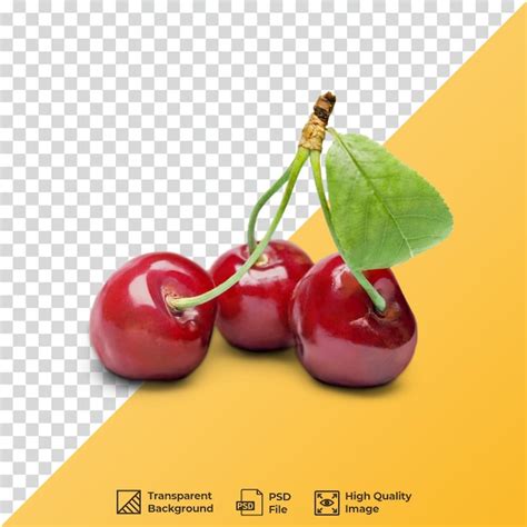 Cherry Yield Improvement Psd High Quality Free Psd Templates For