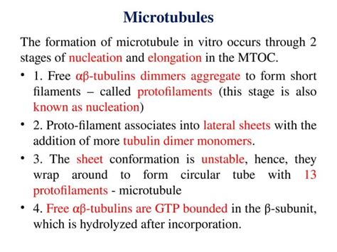 Introduction To Cytoskeleton And Cell Matrix Interaction Ppt