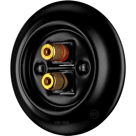 Porcelain Wall Speaker Socket Matt Black Dyke And Dean