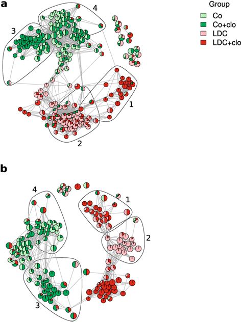 Meta Biclustering Of The Complete And Reduced Data Set Each Node